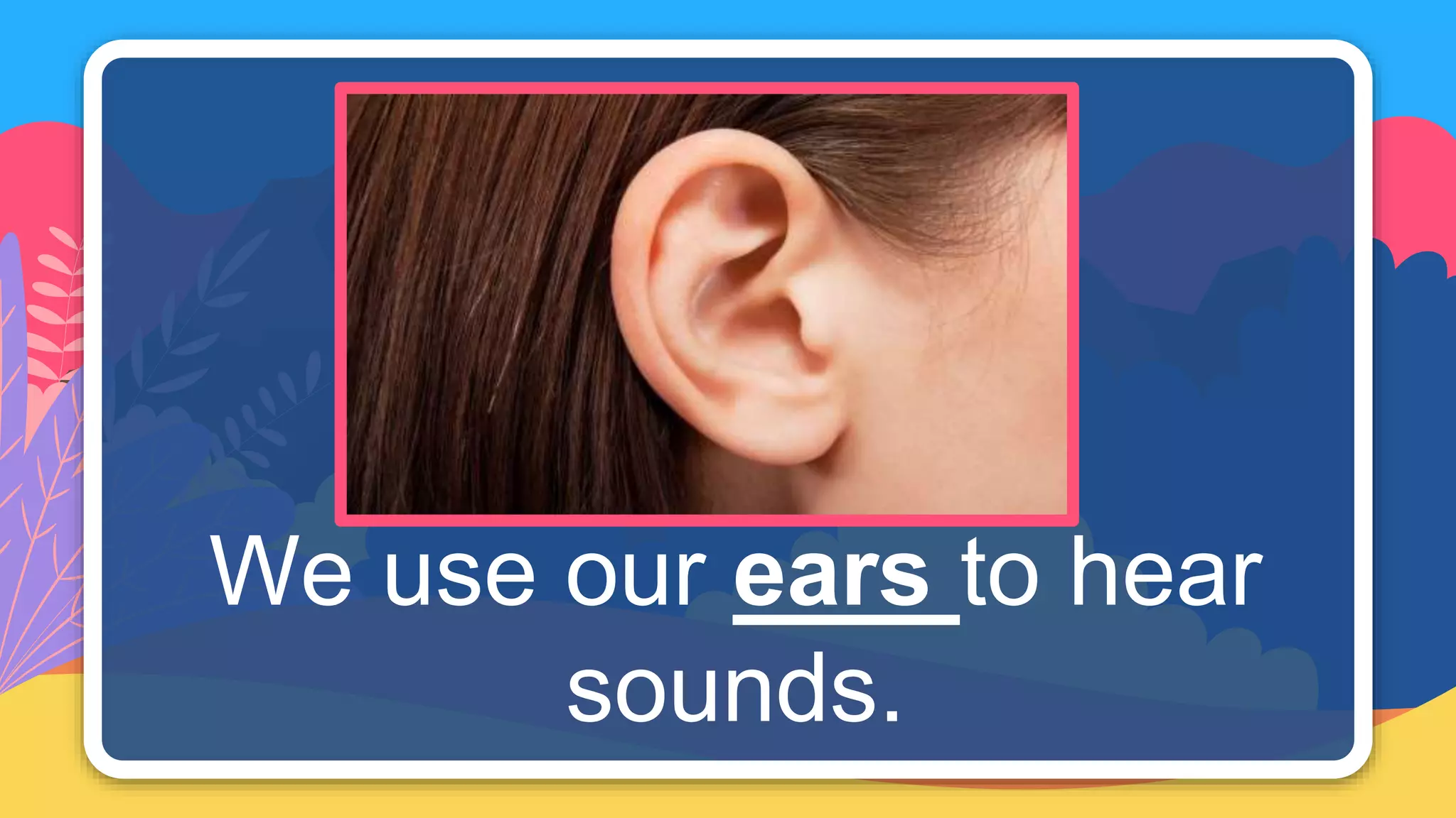 Grade 1 - Observing.pptx