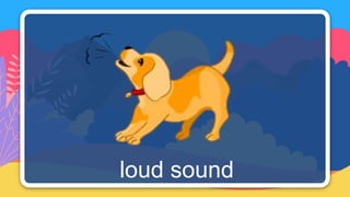 Grade 1 - Observing.pptx