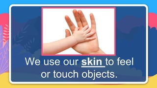 Grade 1 - Observing.pptx