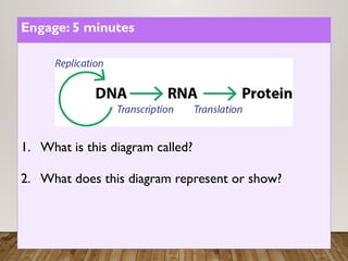 GRADE 10 - Biology Sample Exemplar Q3.pptx