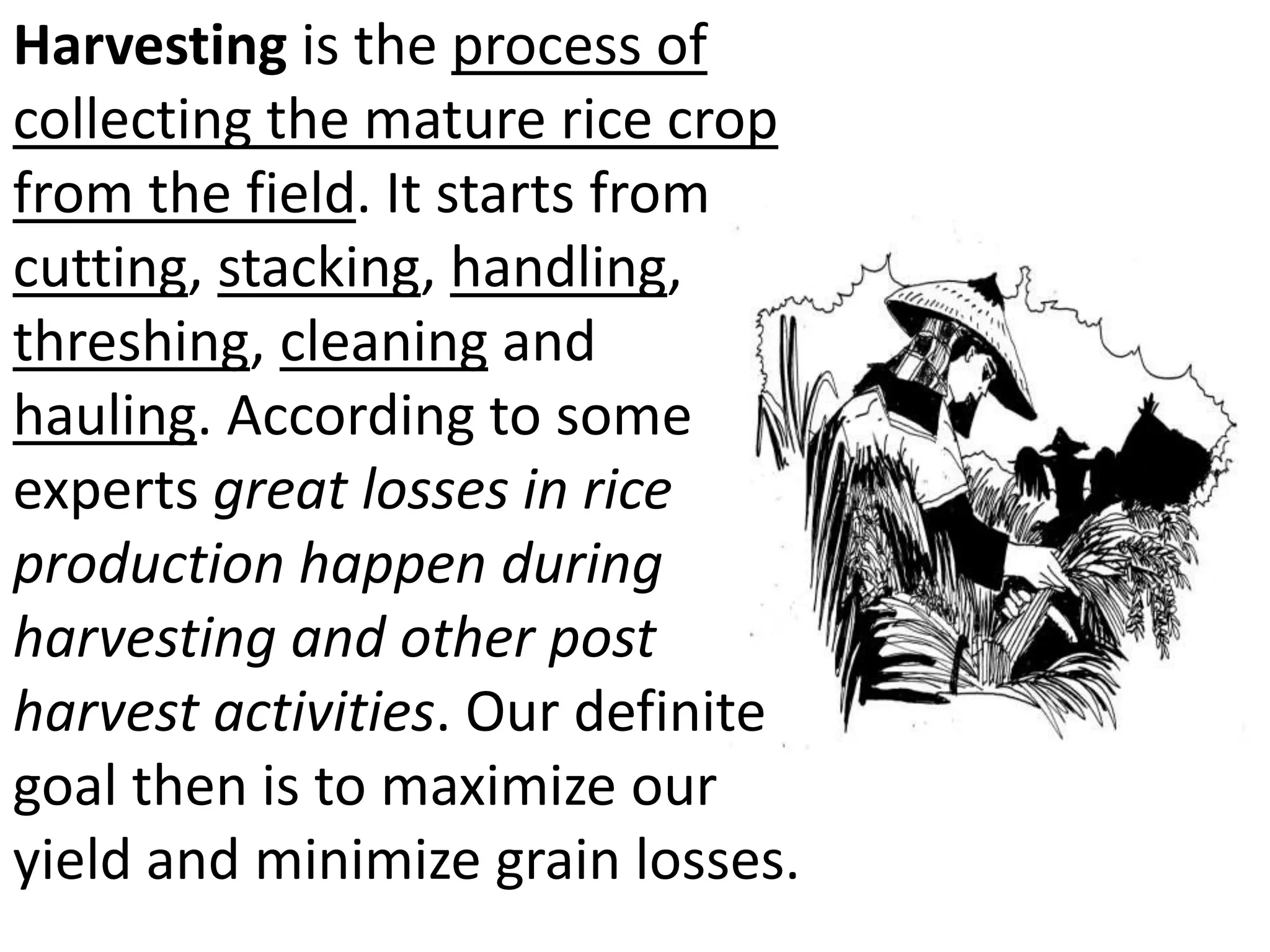 Grade 10 - HARVESTING, THRESHING, DRYING, STORING,.pptx