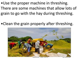 Grade 10 - HARVESTING, THRESHING, DRYING, STORING,.pptx