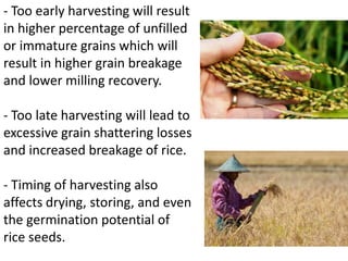 Grade 10 - HARVESTING, THRESHING, DRYING, STORING,.pptx
