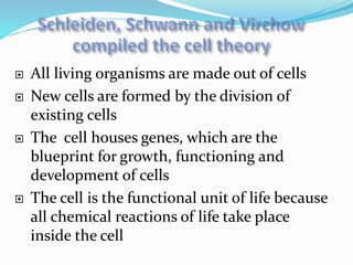 Grade 10 the cell | PPTX