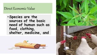 GRADE 10 1ST WEEK.pptx