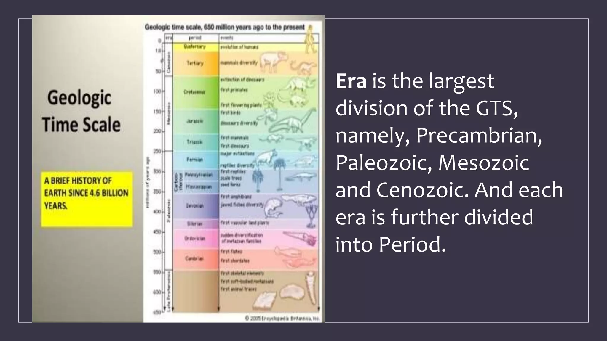 grade 10 Biodiversity and Evolution ppt.pptx