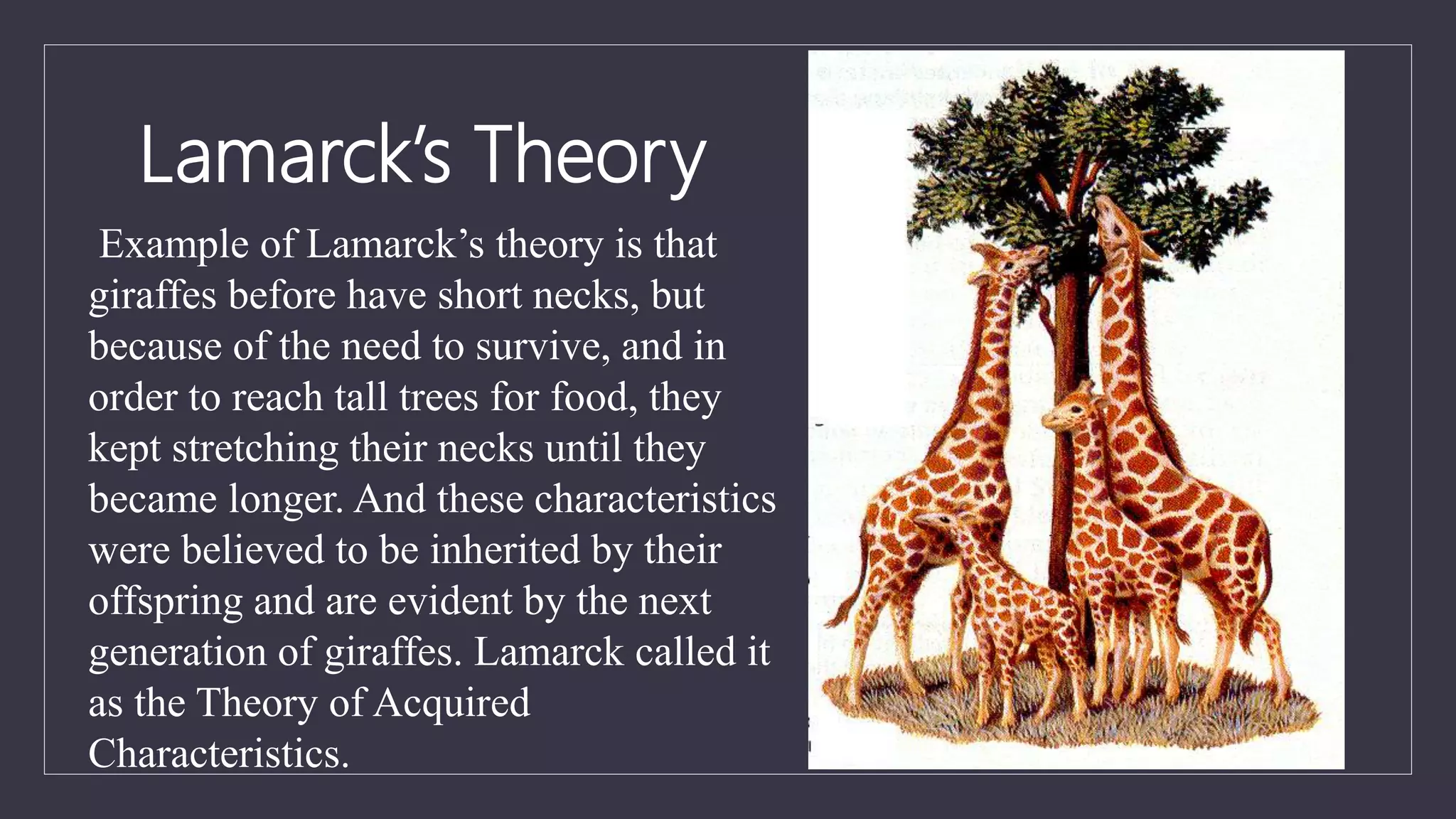 grade 10 Biodiversity and Evolution ppt.pptx