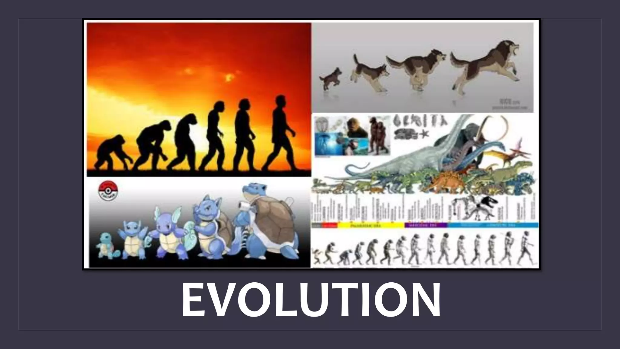 grade 10 Biodiversity and Evolution ppt.pptx