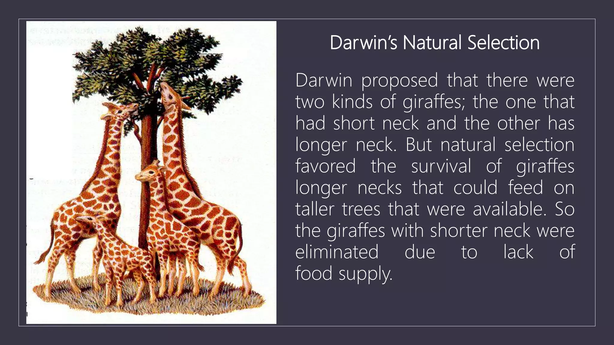grade 10 Biodiversity and Evolution ppt.pptx