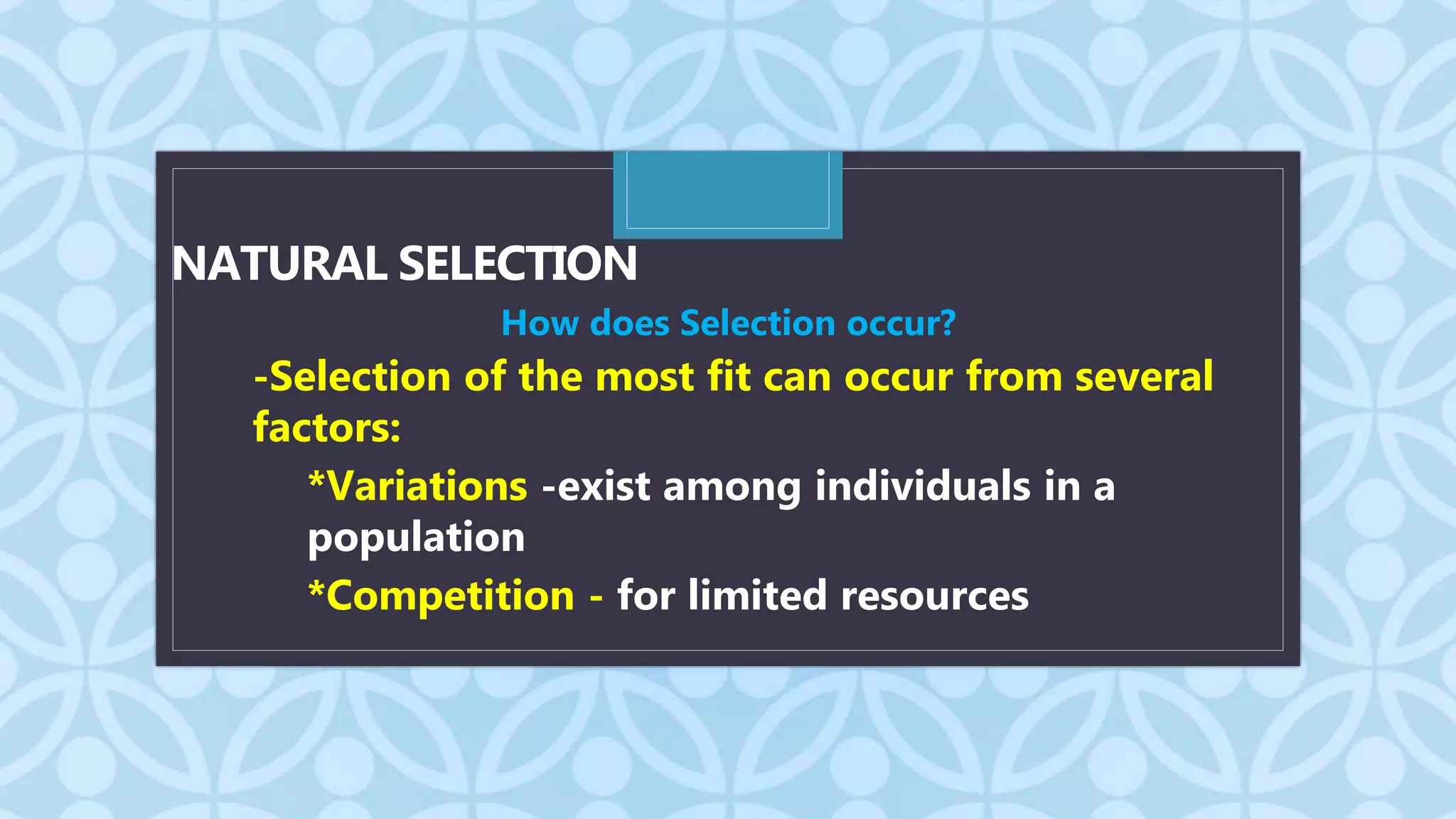 grade 10 Biodiversity and Evolution ppt.pptx