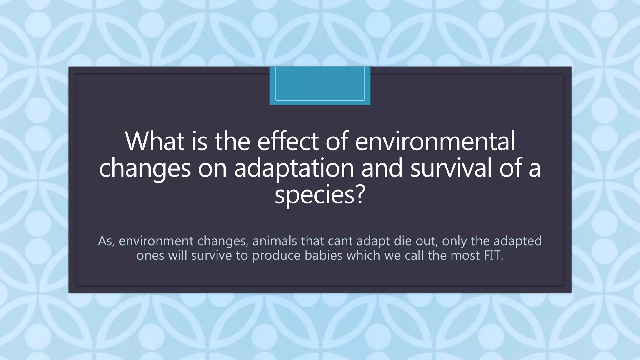 grade 10 Biodiversity and Evolution ppt.pptx