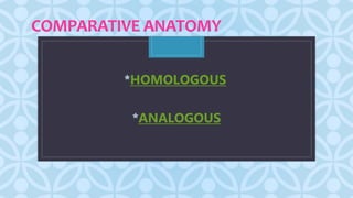 grade 10 Biodiversity and Evolution ppt.pptx