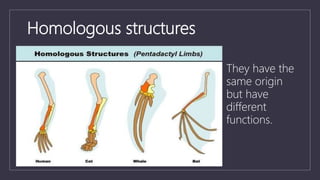 grade 10 Biodiversity and Evolution ppt.pptx