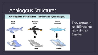grade 10 Biodiversity and Evolution ppt.pptx