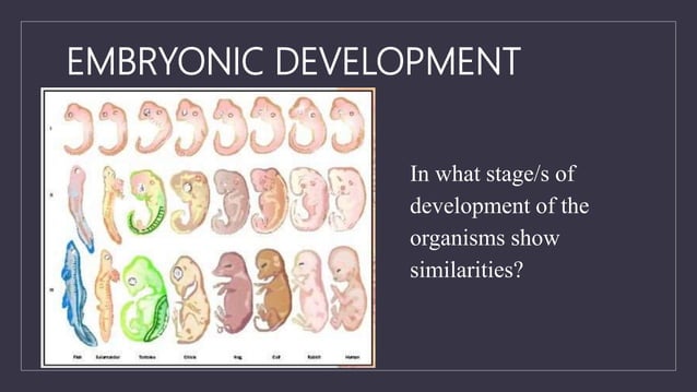 grade 10 Biodiversity and Evolution ppt.pptx