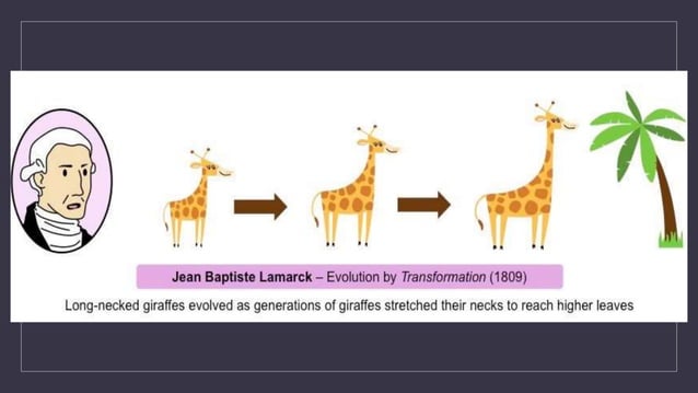 grade 10 Biodiversity and Evolution ppt.pptx