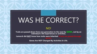 grade 10 Biodiversity and Evolution ppt.pptx