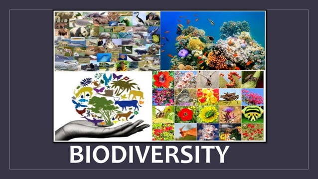grade 10 Biodiversity and Evolution ppt.pptx