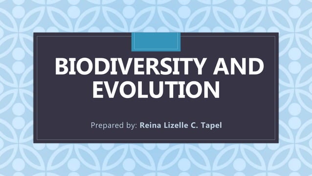 Grade 10 Biodiversity And Evolution Ppt Pptx