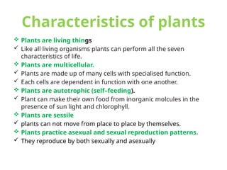 Grade 10 Biology Unit two about characteristics of plany.pptx