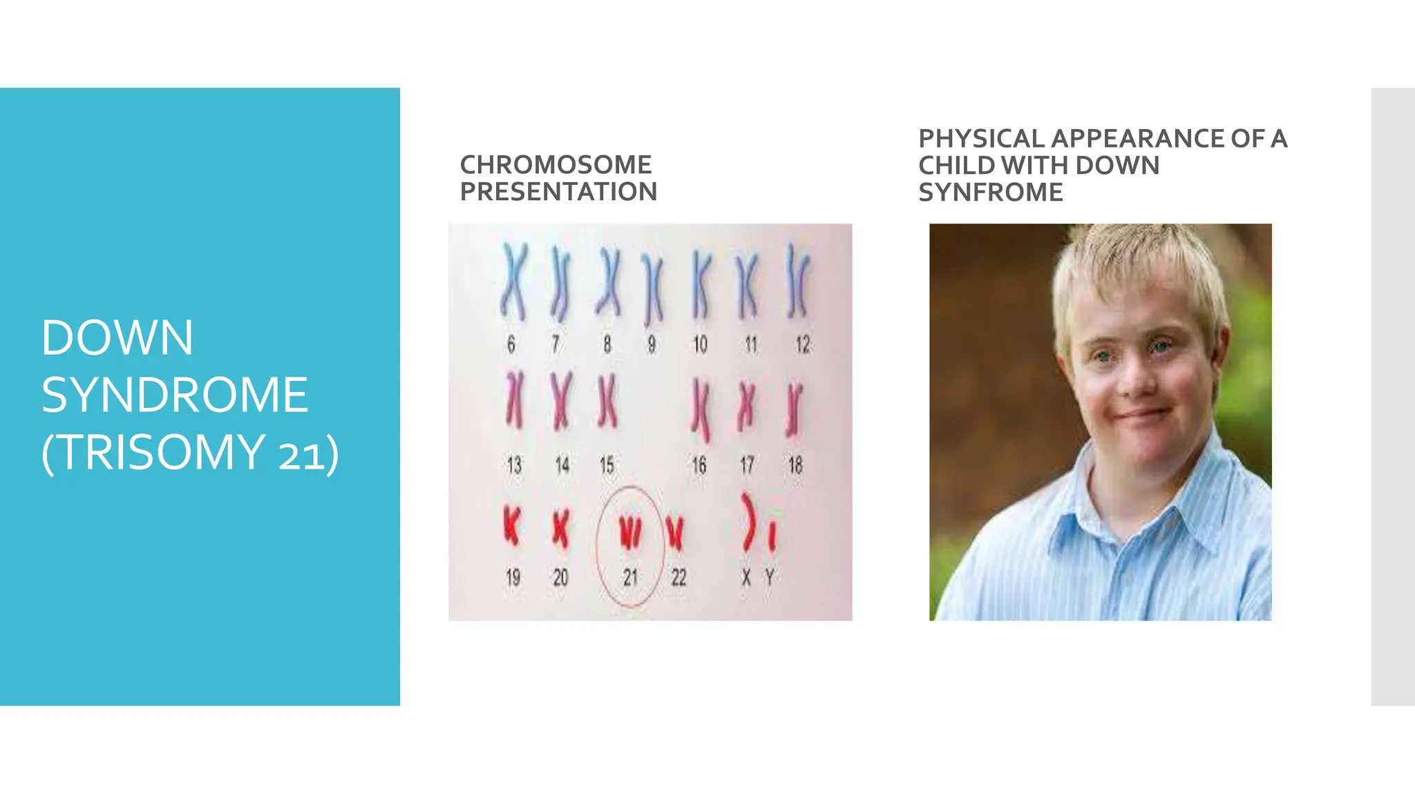 GRADE10GENETICDISORDERsciencediscoveries.pptx