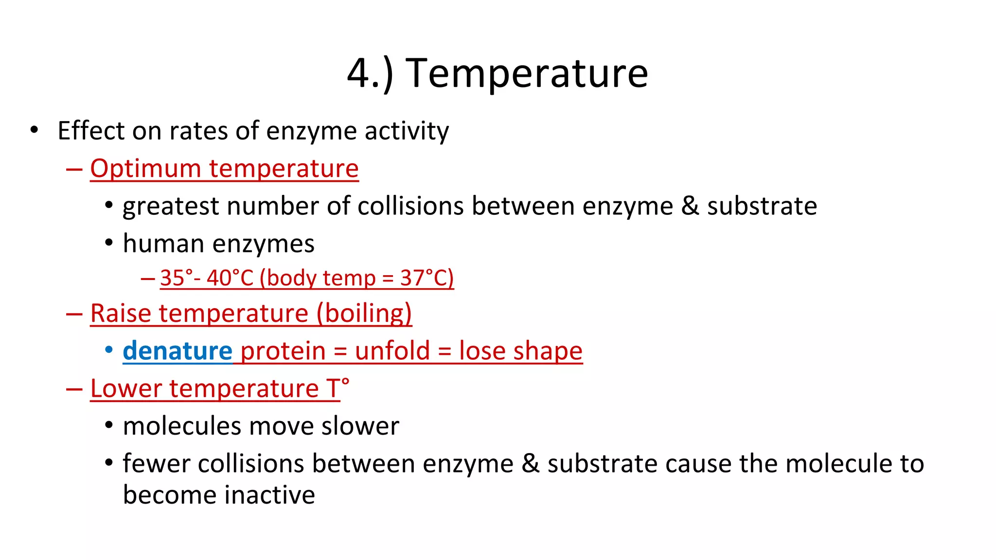Grade 10 le_ch._6.2_enzymes.pptx