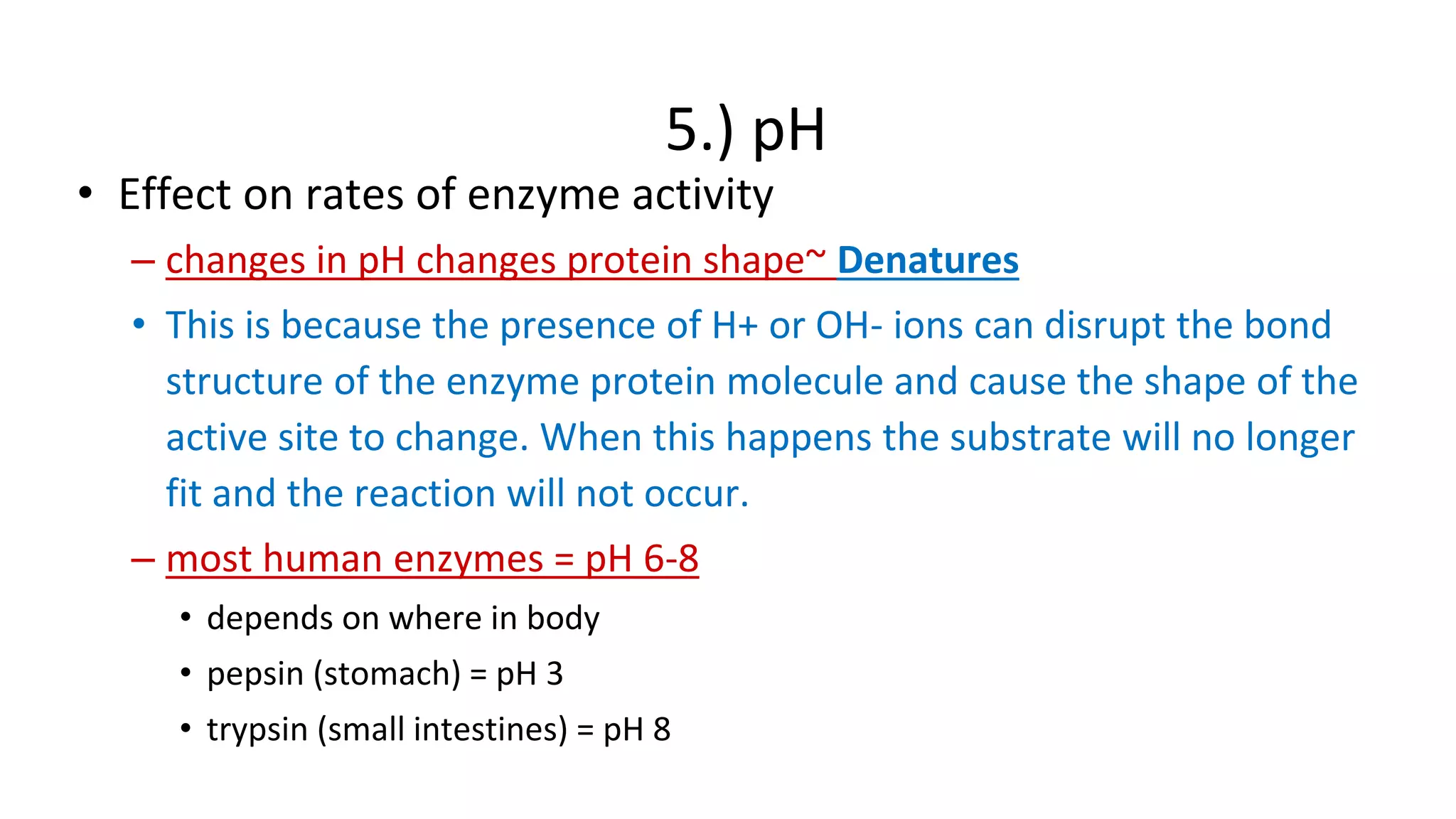 Grade 10 le_ch._6.2_enzymes.pptx