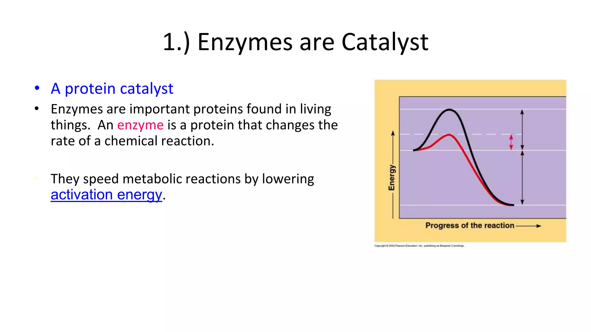 Grade 10 le_ch._6.2_enzymes.pptx