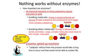 Grade 10 le_ch._6.2_enzymes.pptx