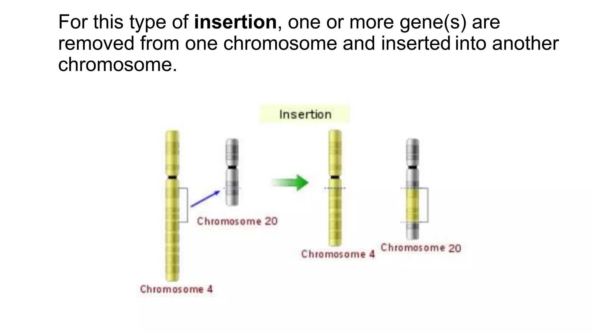 Grade 10 Lesson Mut.pptx