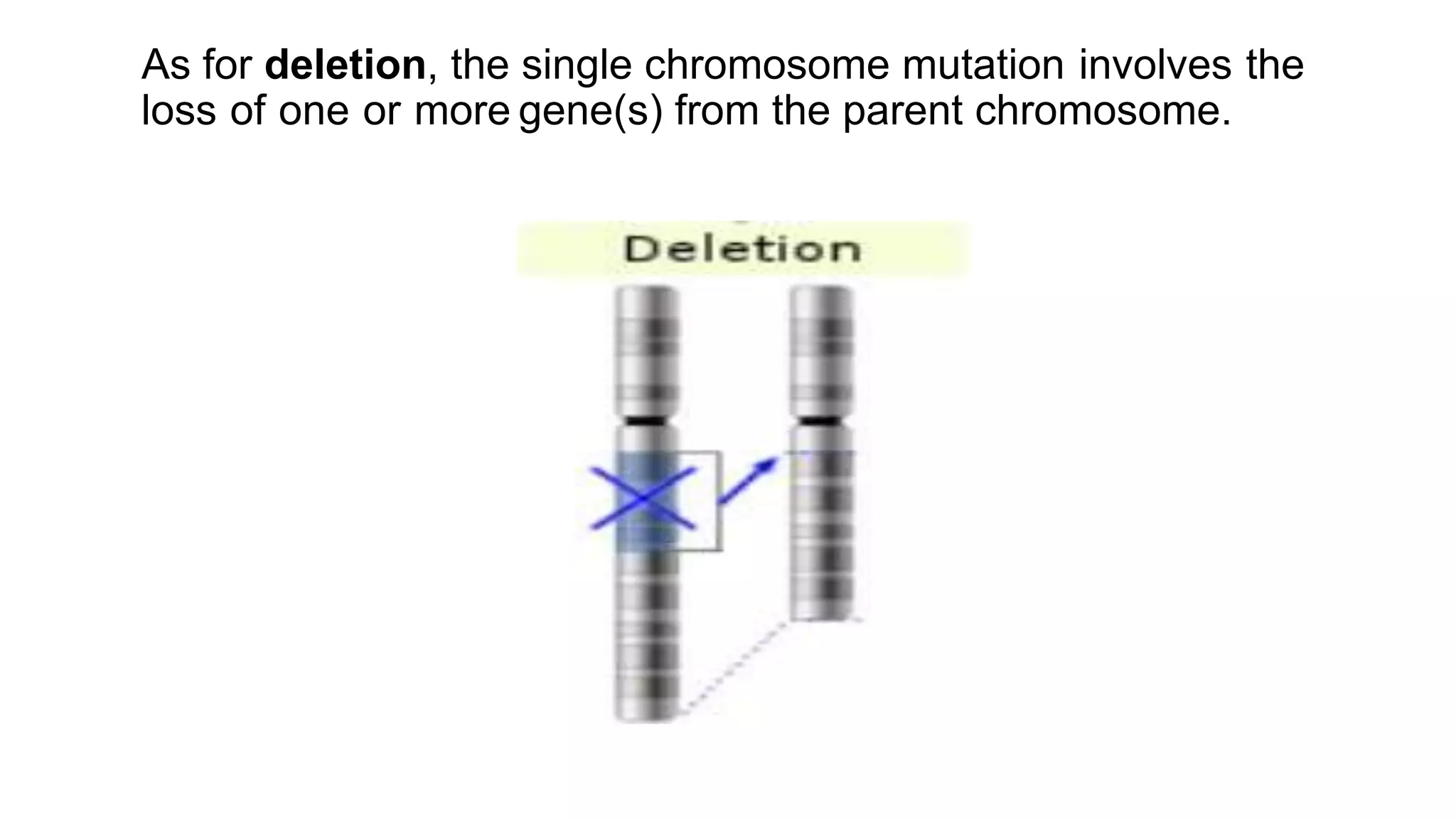 Grade 10 Lesson Mut.pptx