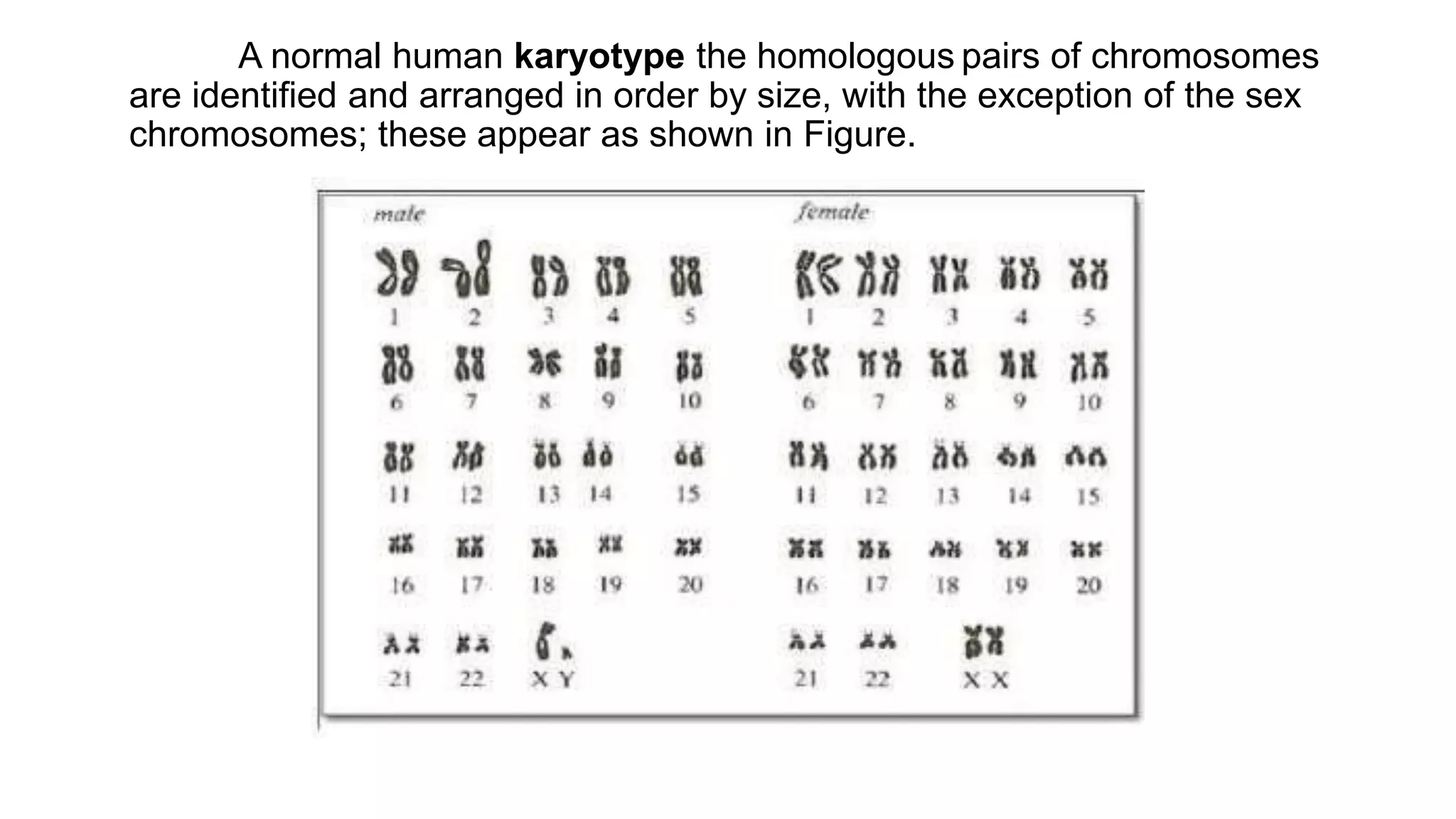 Grade 10 Lesson Mut.pptx
