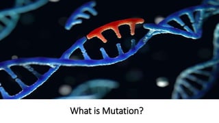 Grade 10 Lesson Mut.pptx