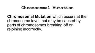 Grade 10 Lesson Mut.pptx