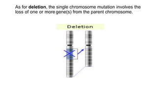 Grade 10 Lesson Mut.pptx