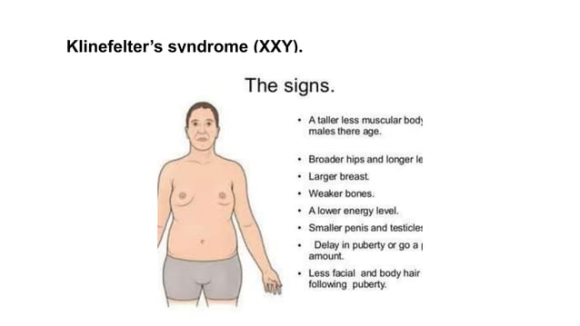 Grade 10 Lesson Mut.pptx | Genetics | Science