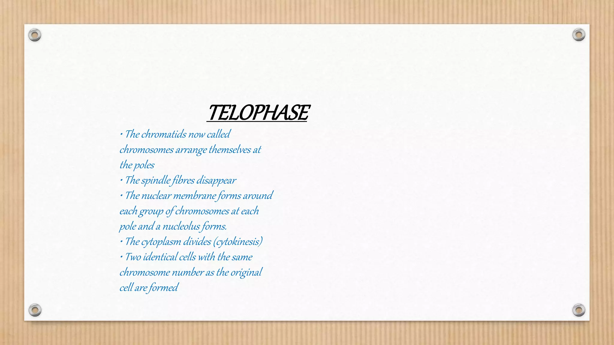 GRADE 10_MITOSIS.pptx