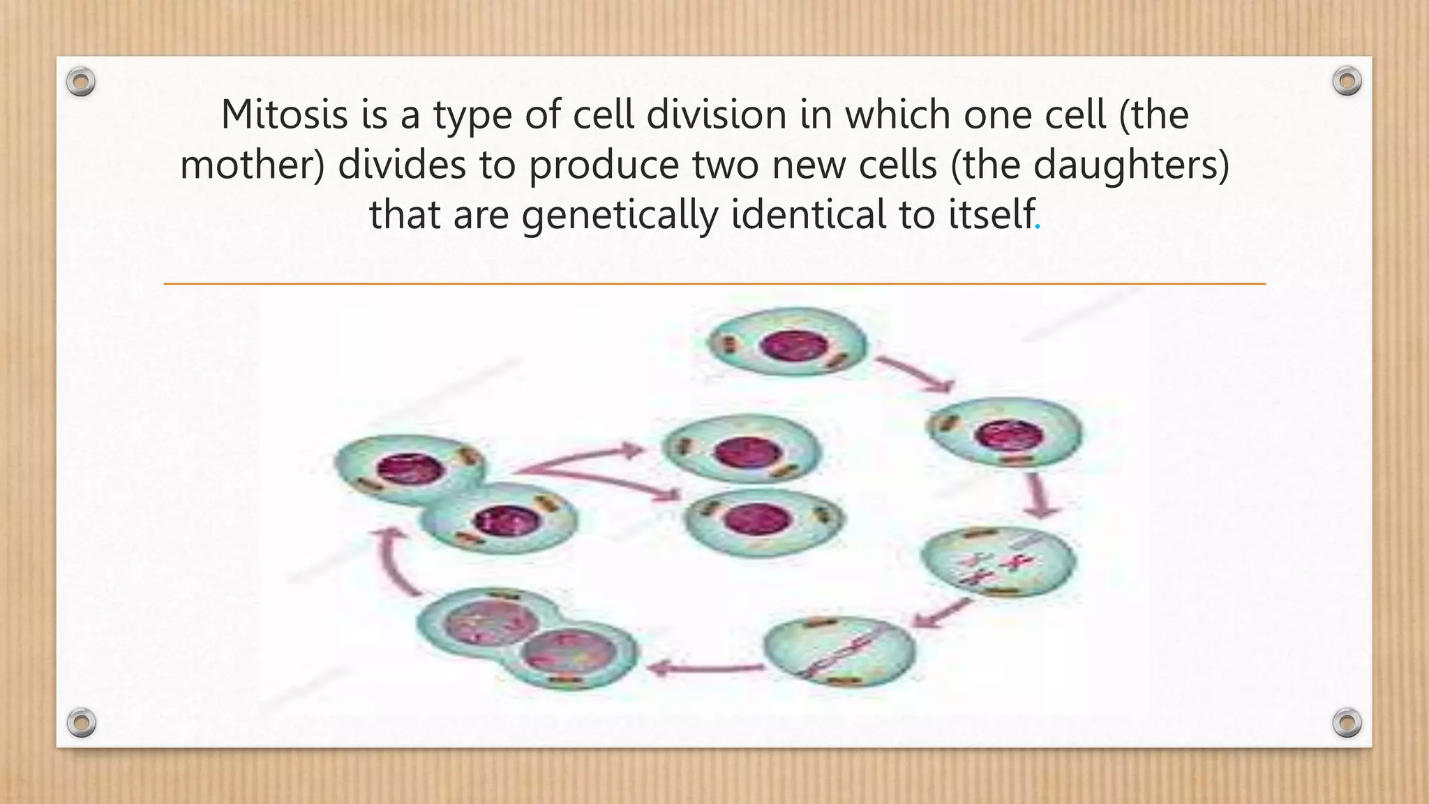 GRADE 10_MITOSIS.pptx