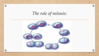 GRADE 10_MITOSIS.pptx
