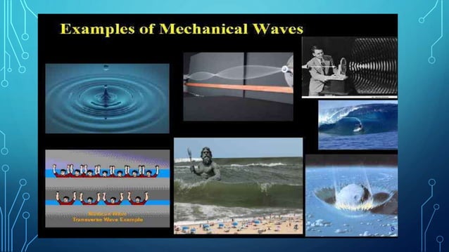 Effects of electromagnetic radiation on living things and environment ...