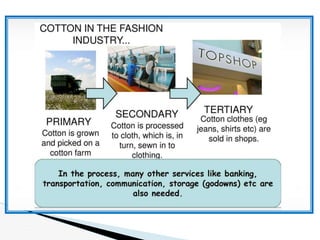 GRADE 10 PPT SECTORS OF THE INDIAN ECONOMY.pptx