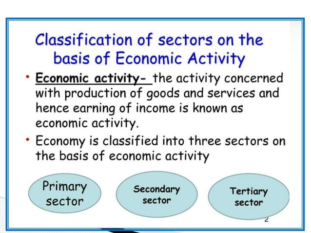 GRADE 10 PPT SECTORS OF THE INDIAN ECONOMY.pptx