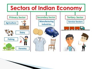 GRADE 10 PPT SECTORS OF THE INDIAN ECONOMY.pptx