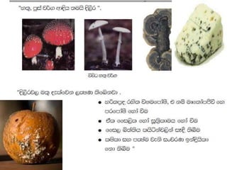 Grade 10 science | PPSX