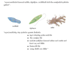 Grade 10 science | PPSX