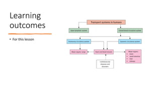 grade 10 Transport System in mammals.pptx