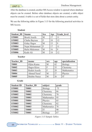 grade 11-ict_fetena_net_c954.pdf