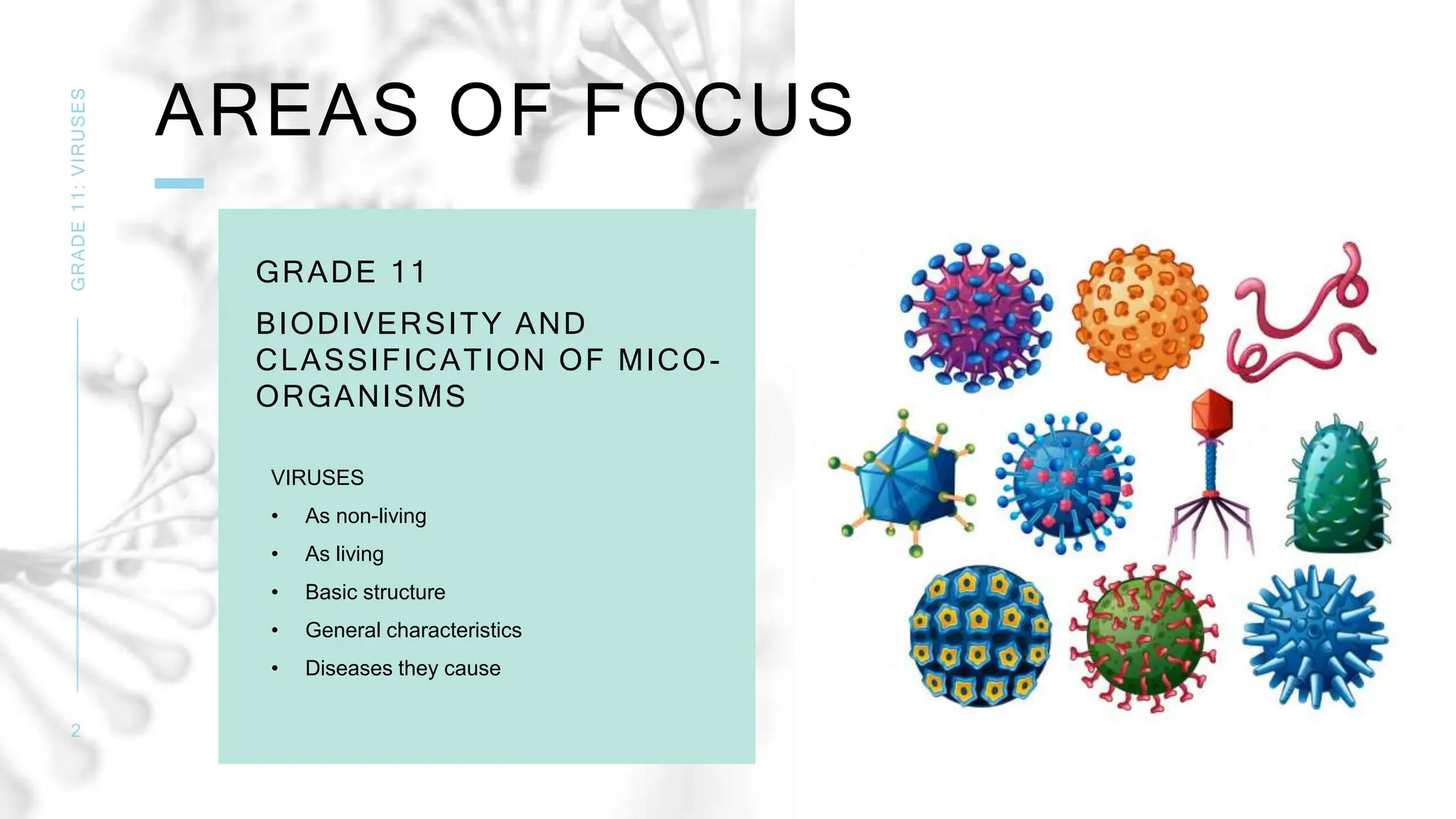 GRADE 11 - VIRUSES.pptx
