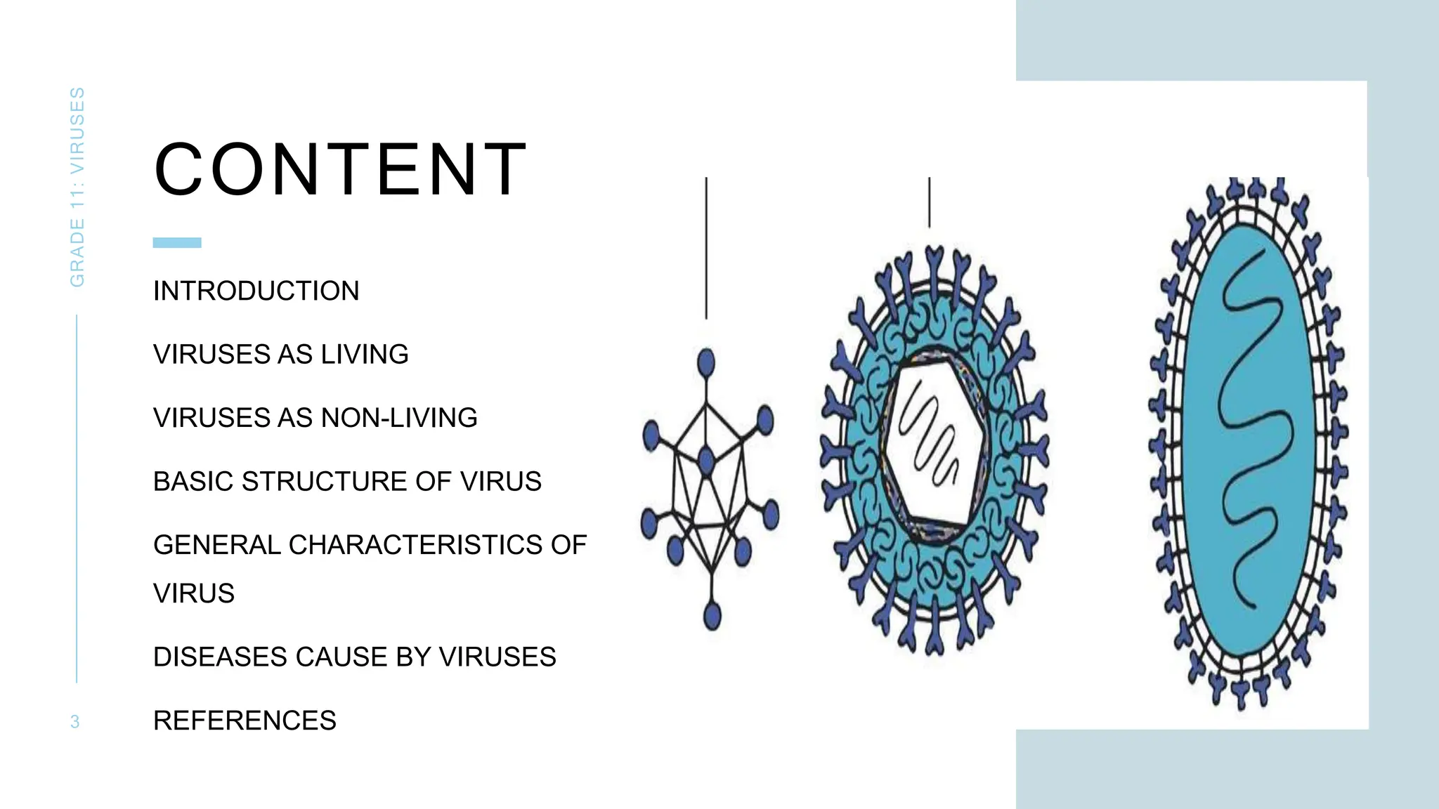 GRADE 11 - VIRUSES.pptx
