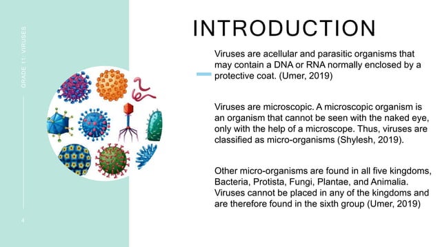 GRADE 11 - VIRUSES.pptx